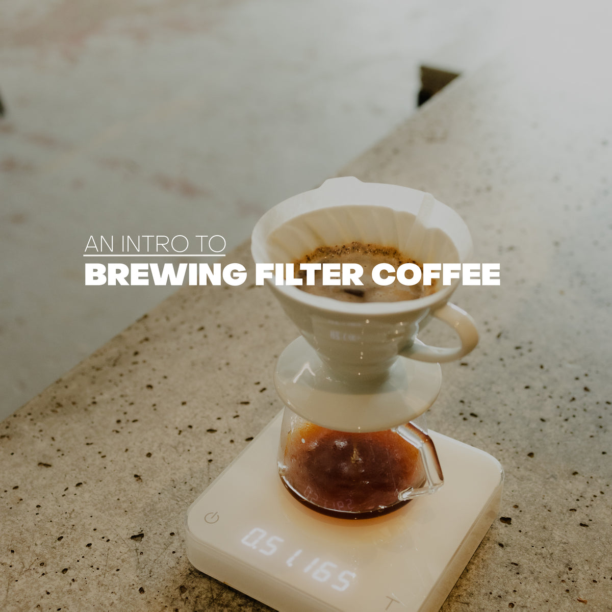 Course: An Intro to Brewing Filter Coffee — June 14th, ‘25 – Subtext ...