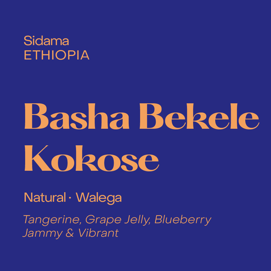 Basha Bekele Kokose | Ethiopia - Natural Walega (Filter Beans ...